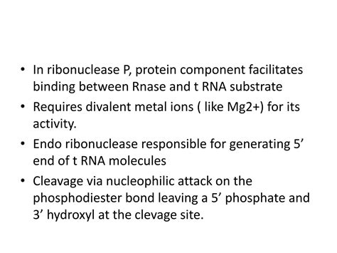 Ribozymes Types Characteristics In Biotechnology Ppt