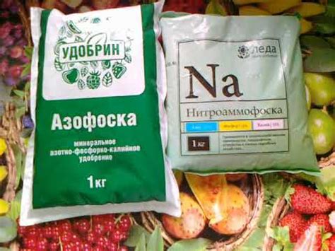 Азофоска или Нитроаммофоска. Основа для питания ваших растений. - YouTube