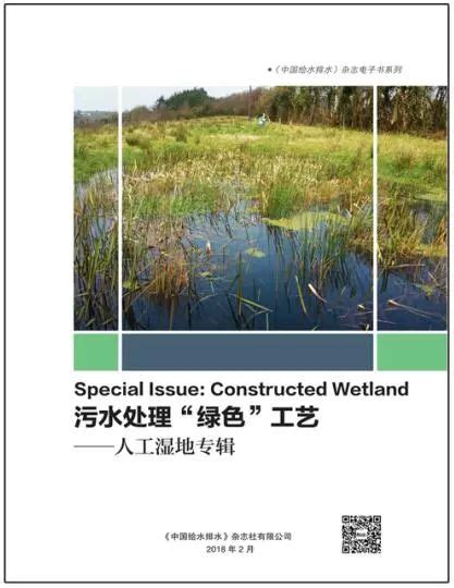 教科书级人工湿地专辑来了特邀湿地专家赵亚乾教授作序荟萃近3年精彩文章