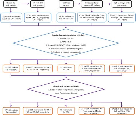 Figure 1 From Bidirectional Mendelian Randomization Analysis Investigating The Genetic
