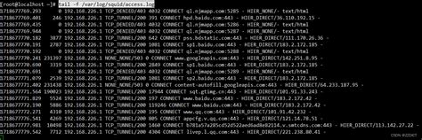 代理配置squidsquid 配置代理 Csdn博客