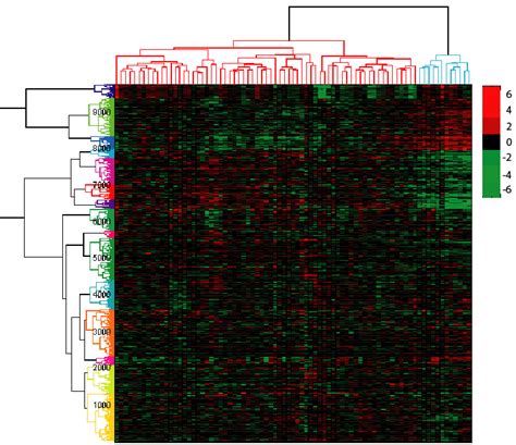 Figure S3 Unsupervised Hierarchical Clustering Showed Two Main