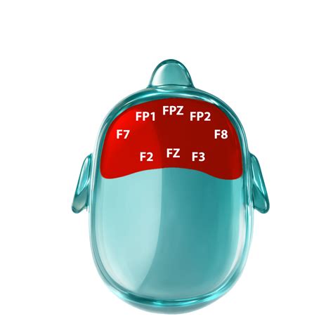 Eegvault Tutorial Frontal And Prefrontal Cortex