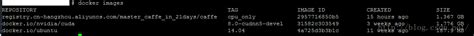 【深度学习：21 天实战 Caffe】docker 镜像更新caffe Docker镜像 Csdn博客