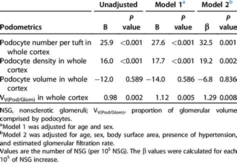 multiple linear regression analyses for podometrics in 50 subjects