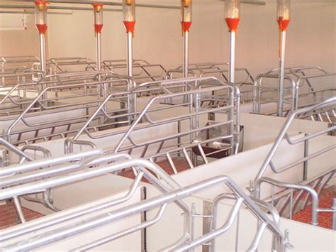 Farrowing Crate For Sows Exafan Exafan