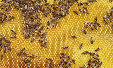 apache hive 3 transactional tables ein elefant im bienenstock blog