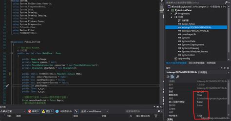 【pmac】chapter1：无法嵌入互操作类型xxx，请改用合适的接口interoppcommserverlibdll Csdn博客
