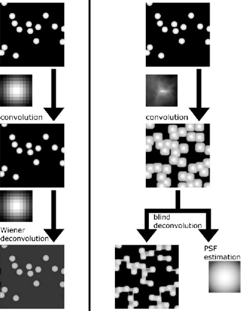 Figure 1 From State Of The Art Approaches For Image Deconvolution