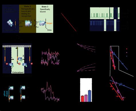 Bimolecular Association And Dissociation Rates Are Inherently