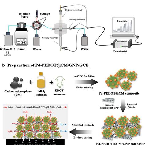 The Flow Injection Amperometric Detection System A And The Download Scientific Diagram