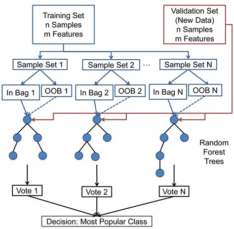 16 Random Forests Based Classification Procedure For N Trees Grown Oob Download Scientific