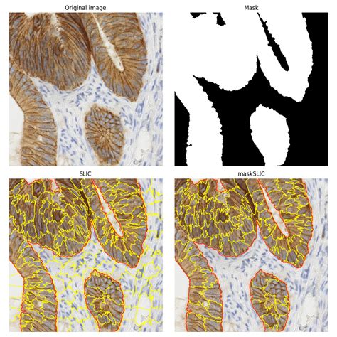 应用 Maskslic 与 Slic — Skimage 0250 文档 Scikit Image 图像处理库