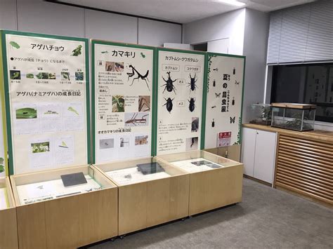 8 11 9 10 しのばずラボ企画展夏の昆虫展を開催します 東京ズーネット