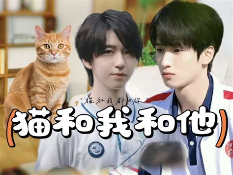 猫和我和他严浩翔现在我和我的猫都归你了 两个天上有两个太阳 两个天上有两个太阳 哔哩哔哩视频