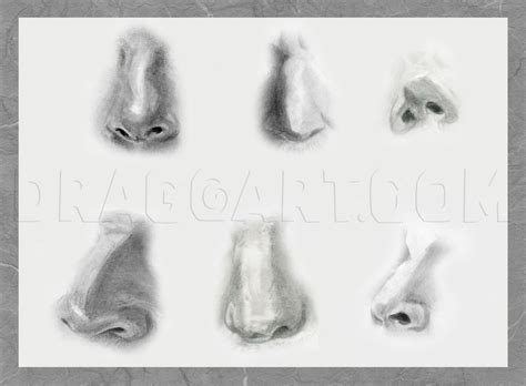 How To Draw Realistic Noses Draw Noses Step By Step Drawing Guide