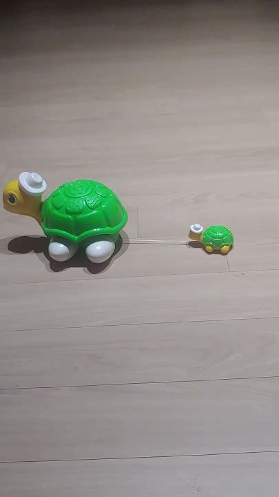 아기 거북이 장난감 Youtube