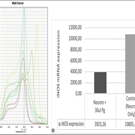 Results Of E2f1 Real Time Polymerase Chain Reaction Gene Analysis A Download Scientific