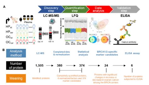 Flow Diagram For Plasma Protein Lc Msms Based Oc Biomarker Candidate