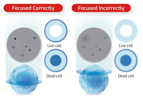 Quadcount™ Automated Cell Counter Hindustan Medical Technology