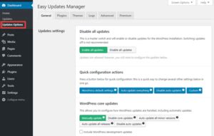 How To Disable Automatic Updates In WordPress Ways