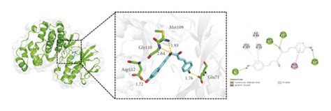 A Heat Map Of Molecular Docking The Redder The Area The Lower The