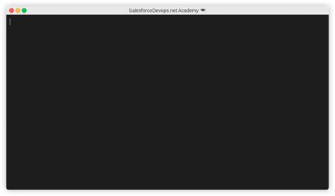 How To Install Sfdx Cli On Ubuntu 2004 To Boost Developer Productivity