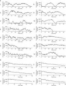 Dynamics Of Translation Of Single Mrna Molecules In Vivo Cell