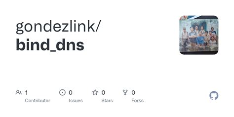 Github Gondezlinkbinddns