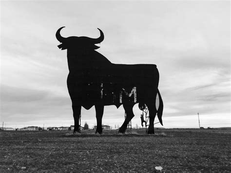 Cardano Reclaims Top Spot On Github ADA S Journey To Moon Guaranteed