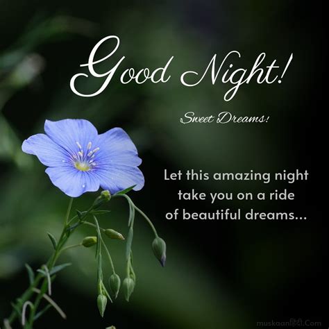 Enjoying Night Quotes