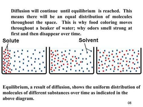 Osmosis Diffusion Presentation PPTX