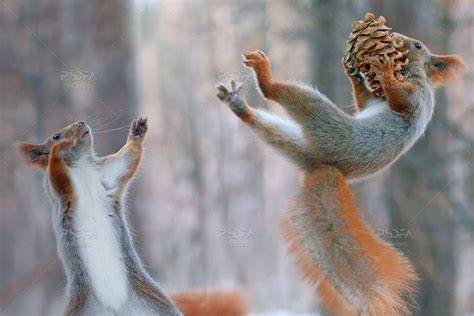 تصاویر زمینه با کیفیت فوق العاده برای دسکتاپ 🔥کد فایل 1938