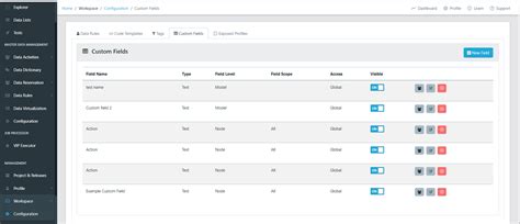 Integer Custom Field Type