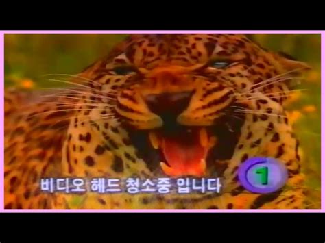 Digital Sex Zones Releases Discogs