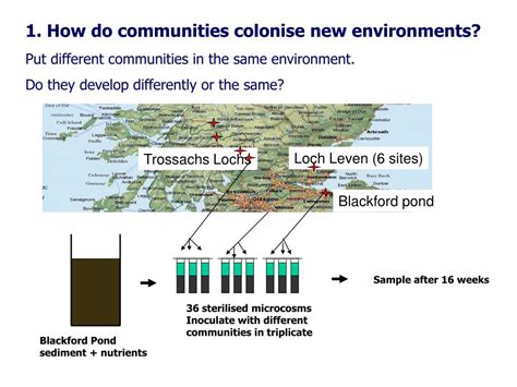 Ppt Modeling Stochastic Effects In Microbial Communities Insights Into Dynamics And Infection