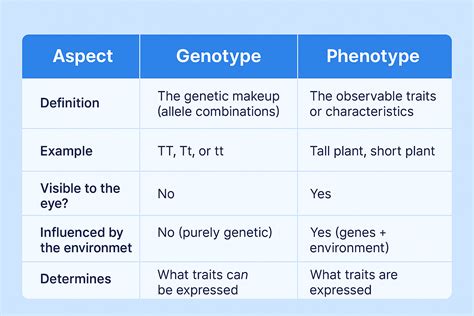Genotype Vs Phenotype Teaching The Difference In Genetics Class