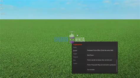 Ragdoll Engine Script 2023 Anti Ragdoll Push Aura And More