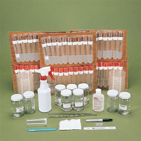 Miniature Rose Micropropagation Class Kit With Voucher Carolina Biological Supply