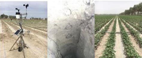 The Soil Profile And Experimental Plot Download Scientific Diagram