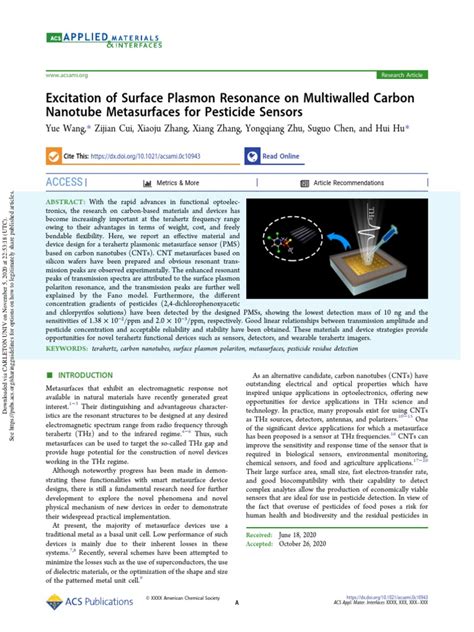 Excitation Of Surface Plasmon Resonance On Multiwalled Carbon Nanotube