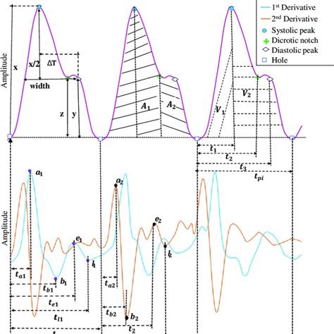 The Characteristic Features Acquired From Ppg Signal And Its