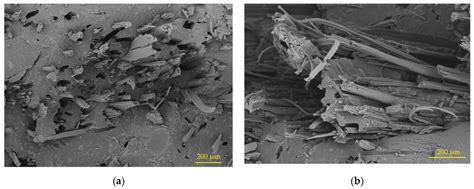 Scanning Electron Microscopy Sem In The Tensile Test Specimen Download Scientific Diagram