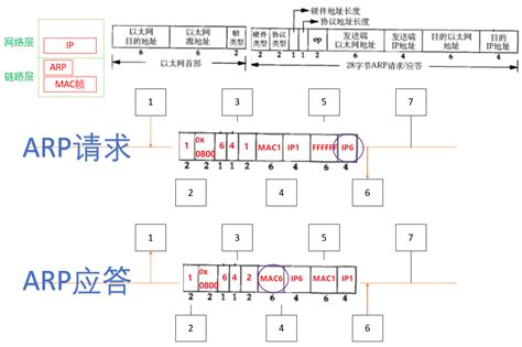 【linux后端服务器开发】mac地址与其他重要协议linux 服务器mac地址 Csdn博客 【linux后端服务器开发】mac地址与其他重要协议linux 服务器mac地址 Csdn博客