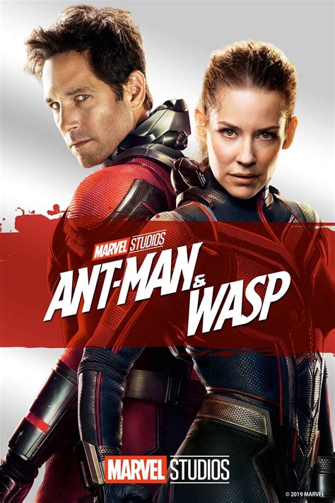 Ant Man And The Wasp 2018 Posters — The Movie Database Tmdb