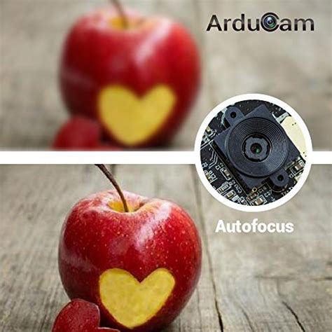 Arducam 8mp Camera The Perfect Companion For Creatives Electronikz