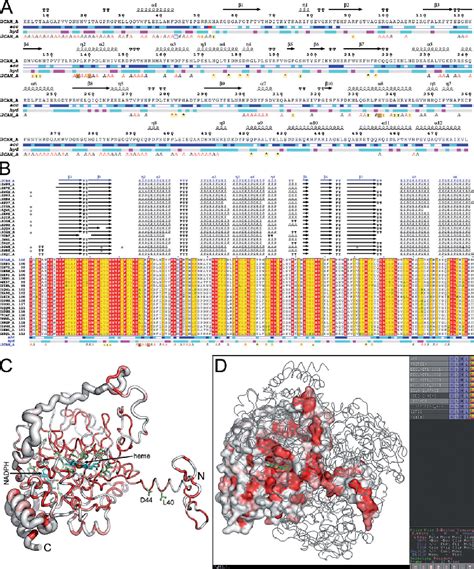 figure 1 from deciphering key features in protein structures with the