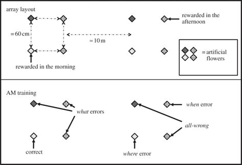Schematic Showing The Two Arrays Of Experiment 1 And Also The Flower Download Scientific