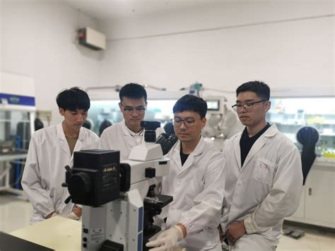有助于led灯提质，青科大邢军教授课题组在nature子刊发表高水平研究论文观海新闻