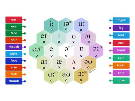Phonemic Chart Matching Labelled Diagram